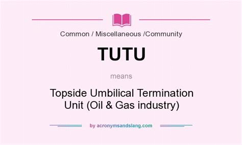 Tutu Topside Umbilical Termination Unit Oil And Gas Industry In