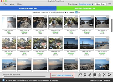 Visual Similarity Duplicate Image Finder