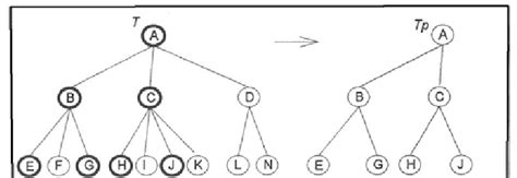 Example Of Partial Tree Download Scientific Diagram