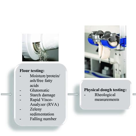 Wheat Quality Testing Methods Download Scientific Diagram