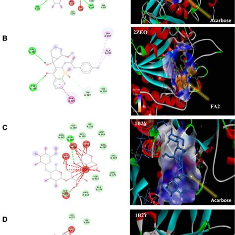 3d Docking Model Of Acarbose And Fa2 Against α Glucosidase 2ze0 A And