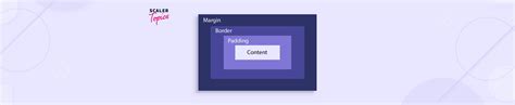 Css Borders Border In Css Scaler Topics
