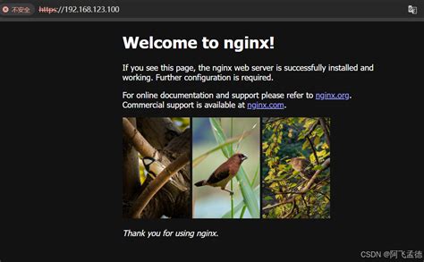 使用nginx搭建通用的图片代理服务器，支持重定向式图片地址nginx 代理图片 Csdn博客