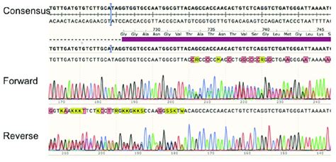 Sequencing Alignment Of Exon For Patient With C InsA Exon Download Scientific