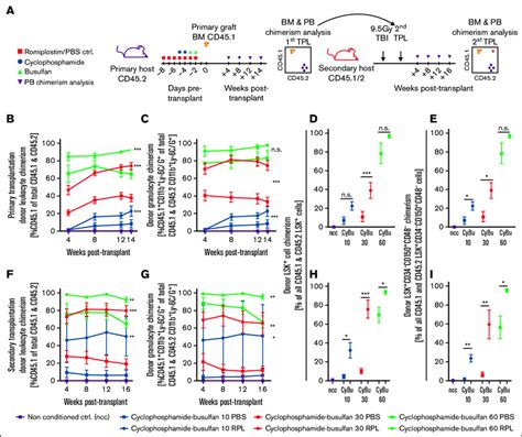 Romiplostim Sensitizes Hs P Cs To Cybu Chemotherapy In A Preclinical Download Scientific