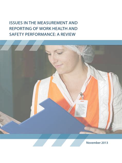 19 Issues Measurement Reporting Whs Performance Pdf Occupational