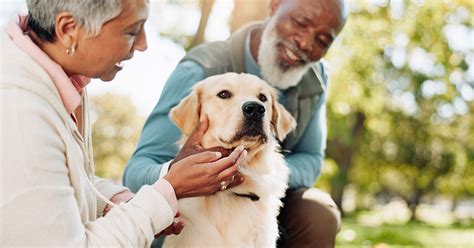 When To Start Taking Cpp Qpp And Oas Benefits Manulife Wealth