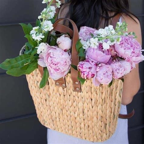 სახისა და ტანის მოვლის საშუალებები