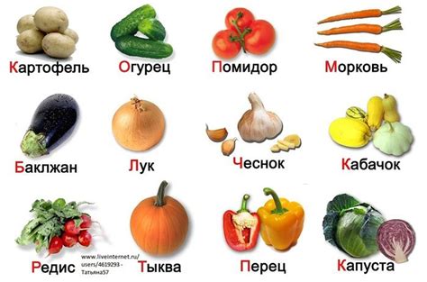 Российский Сервис Онлайн-Дневников | Для детей, Овощи, Овощи для детей