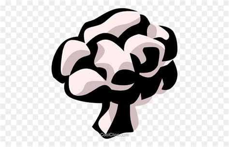 Cauliflower Royalty Free Vector Clip Art Illustration Cauliflower