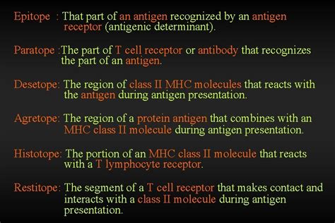 Antigen Recognition The Schematic Representation Of The Interaction