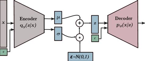 The Structure And Computational Flow Of The Cvae Compared To The Download Scientific Diagram
