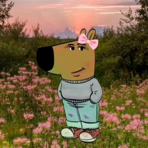 Chill Pfp Collections
