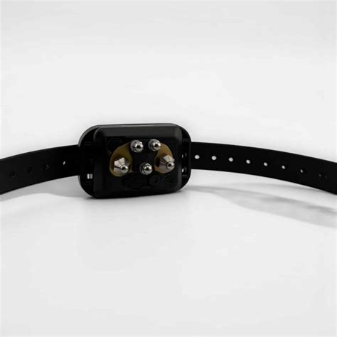 Cpad 035 Titanium Comfort Pad Short Point Comfort Pads E Collar