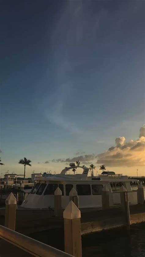 Golden Waves Aesthetic Sunset Beach Waves Aesthetic Boat Pictures