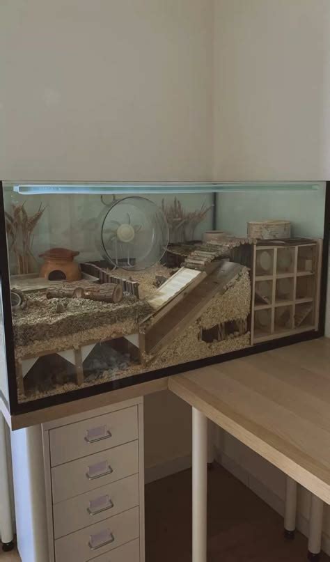 Diy Hamster Cage Setup Hamster Habitat Hamster Diy Hamster Diy Cage