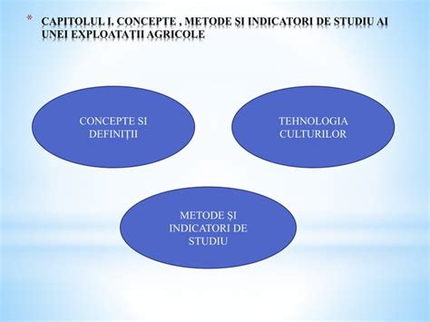Ppt Licenta Final Pptx