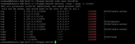bench start error error no such option quiet erpnext