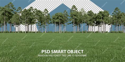 Premium Psd Realistic Meadow And Forest Tree Line 3d Rendering Of Isolated Objects