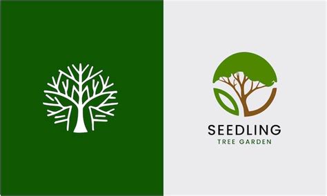Premium Vector Tree Saplings Tub Plants Seedling Trees Tree Leaves