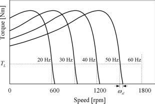 Induction Motor At Synchronous Speed