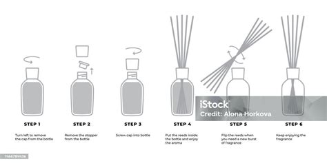 Stepbystep Instructions For Reed Diffuser Stock Illustration Download
