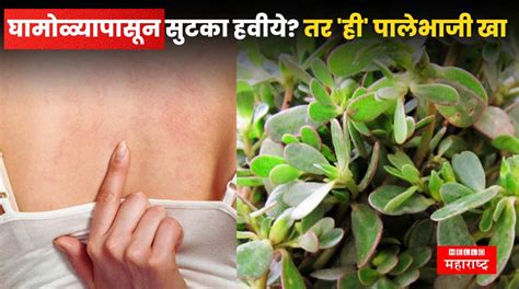 Green Vegetable Benefits In Summer