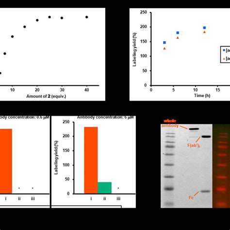 Effect Of Reagent Amount Reaction Time And Reaction Concentration On