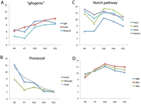 A The Receptors For The Three Main “gliogenic” Receptors Cntfr Egfr Download Scientific