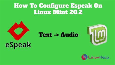 Starting A Container And Ssh Into Docker Containers With Docker Run By Animesh Kumar