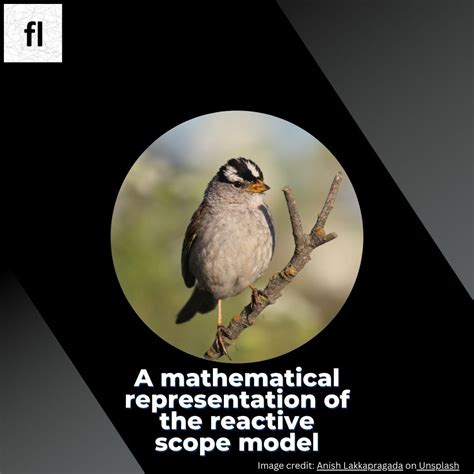 fefferman lab on linkedin mathematicalmodeling reactivescopemodel
