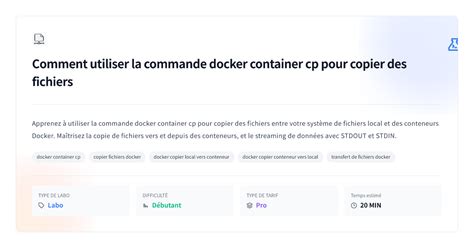 Comment Utiliser La Commande Docker Container Cp Pour Copier Des Fichiers Labex