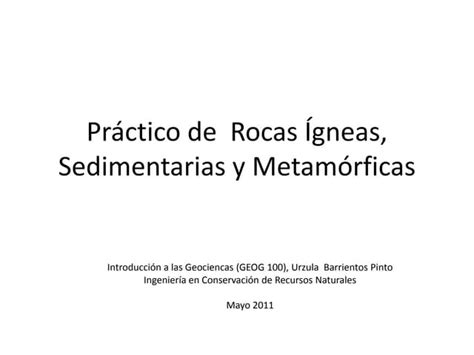 Práctico De Rocas ígneas Sedimentarias Y Metamórficas Final Pdf