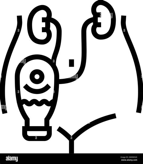 Urostomy Urology Line Icon Vector Illustration Stock Vector Image And Art Alamy