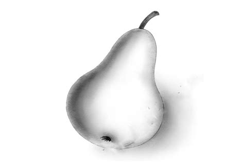 How To Draw A Pear Realistic Prickly Cute Step By Step