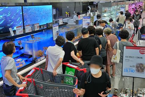 대형마트 3사 꽃게 할인 총력전…‘실적 반등 자신감