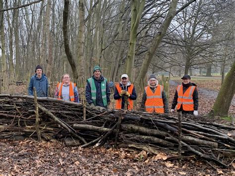 Dead Hedging Refurbishment Friends Of Wollaton Park