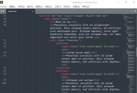 Sublime Text 文本代码编辑器 V4150 绿色版 Gomooc
