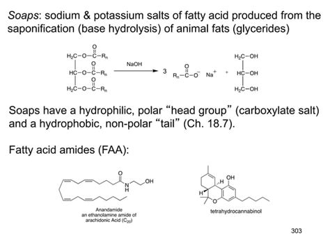 Fatty Acid Metabolismoxidation Catabolismppt