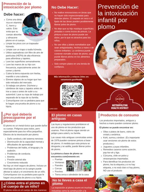 Lead Prevention Brochure Spanish Pdf Dirigir