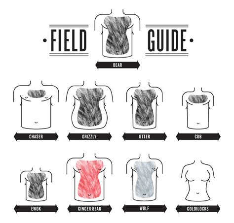 Types Of Gay Men Twink Bear Gaswif