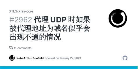 代理 udp 时如果被代理地址为域名似乎会出现不通的情况 · issue 2962 · xtls xray core · github
