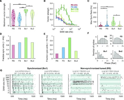 In Response To Sinusoidally Amplitude Modulated Sounds Bursting Download Scientific Diagram