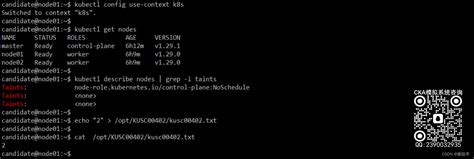 k8s认证 cka题库 答案 8 查看可用节点数量 csdn博客