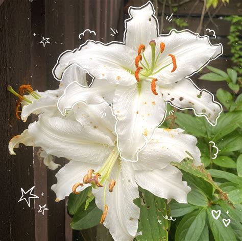 100 Sketchbook Ideas To Save Today Art Reference Poses Art Reference Art Reference Photos