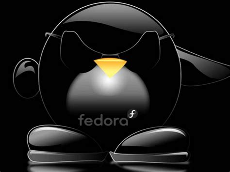 Fedora Linux Wallpapers Wallpaper Cave