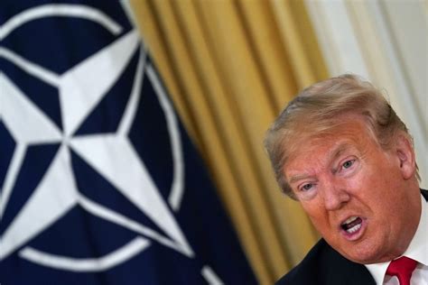 Un Elefante Nella Stanza Della Nato