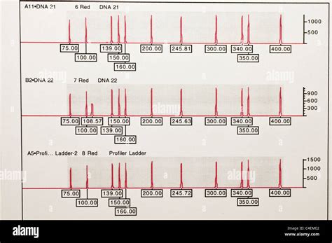 Short Tandem Repeats