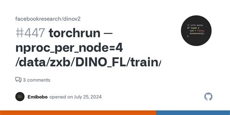 Torchrun Nproc Per Node Data Zxb DINO FL Train Train Py Issue Facebookresearch