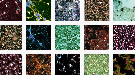 accelerating ai drug discovery with open source datasets
